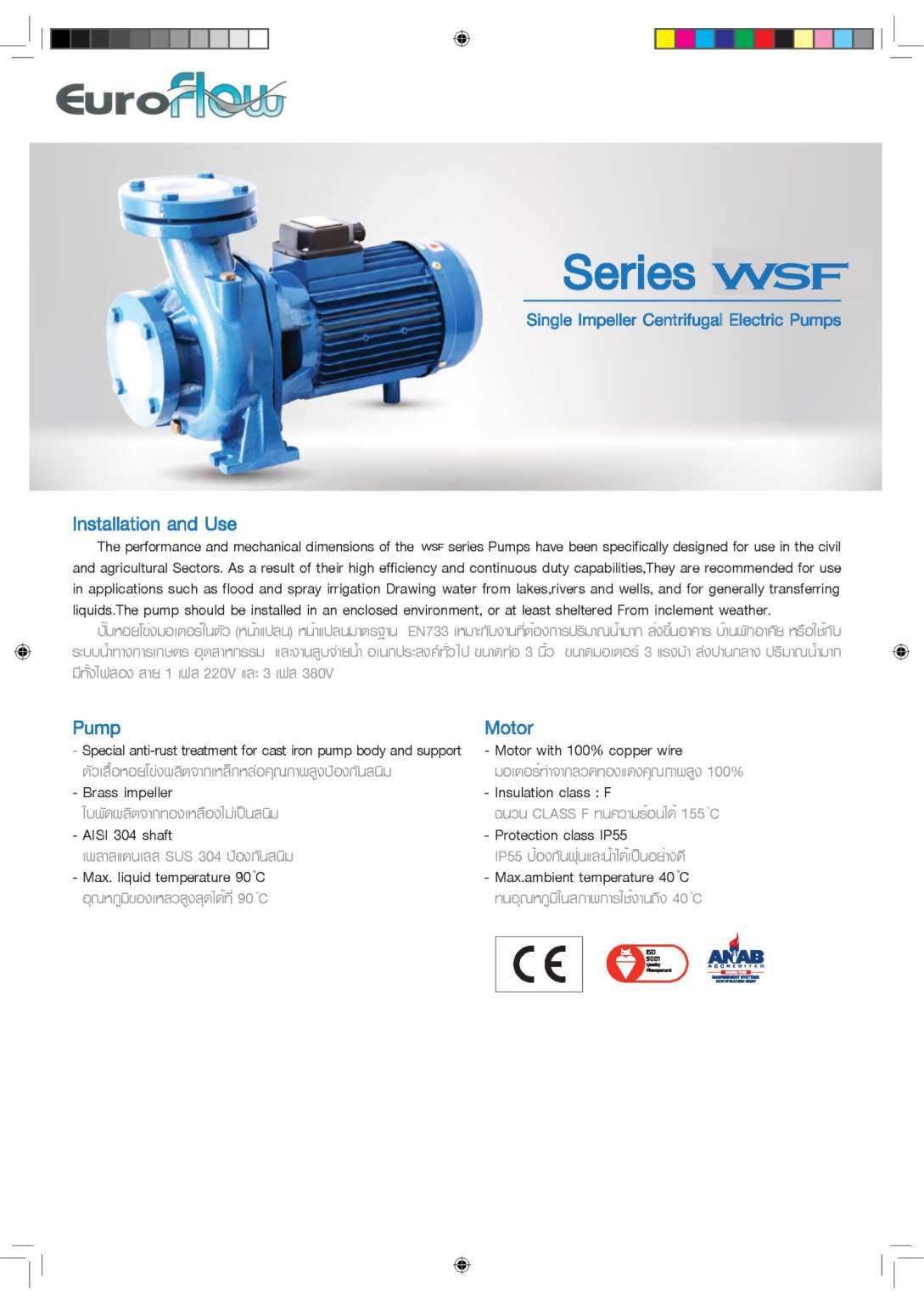 ปั๊มน้ำ EUROFLOW WSF300/3 3แรง3นิ้ว1เฟส - บีลีฟซอร์สซิ่ง ตลาดกลางค้า ...